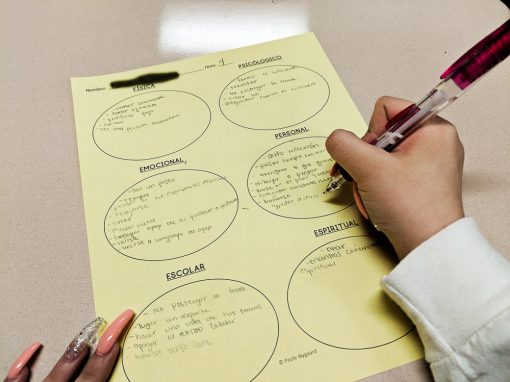 Heritage Speakers Class Curriculum: Year Two - Profe Nygaard