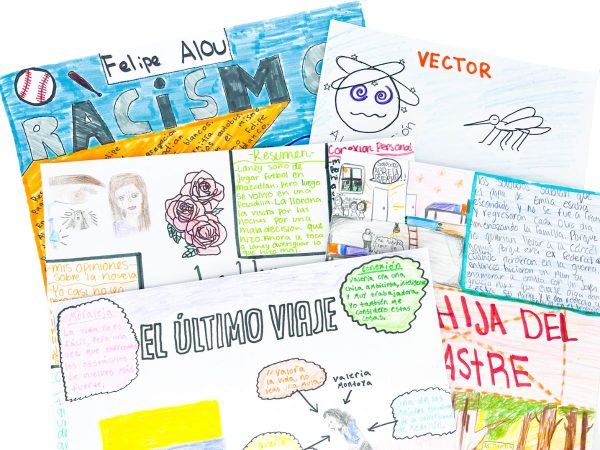 One Pager Literary Analysis for Any Novel in Spanish Class - Profe Nygaard